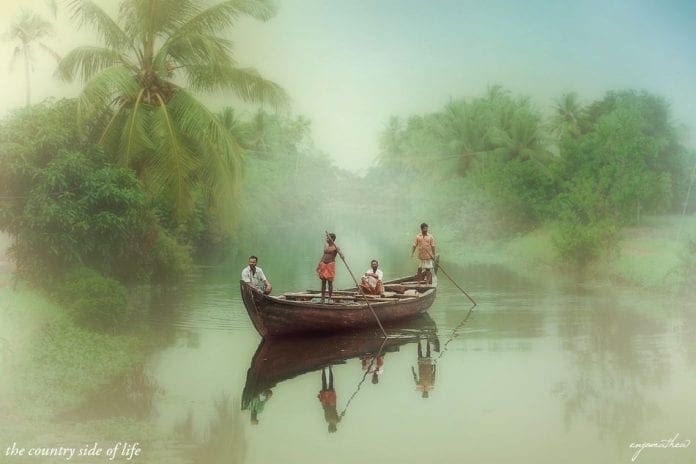 Top Interesting Facts About Malayalees